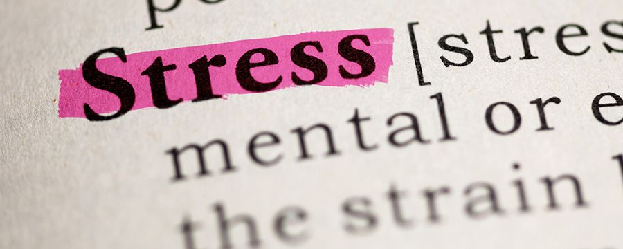 Entender y medir el estrés: cómo el Max Pulse analiza el SNA